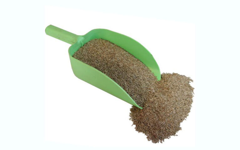 Shady Mix | Main's Landscape Supply